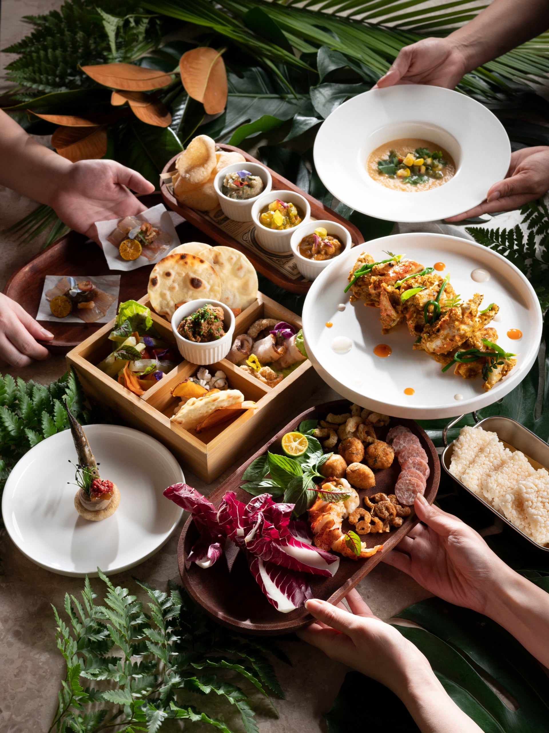 LKF Concepts | Discover the best of LKFC online