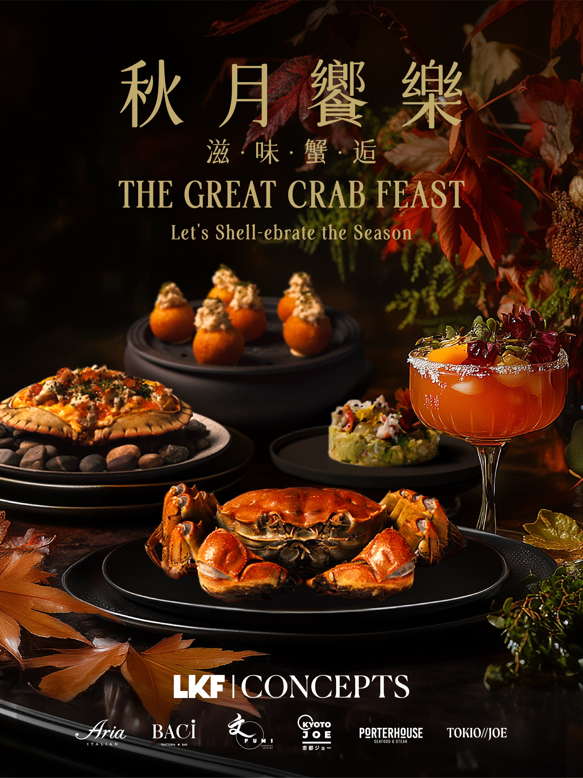 LKF Concepts | Discover the best of LKFC online